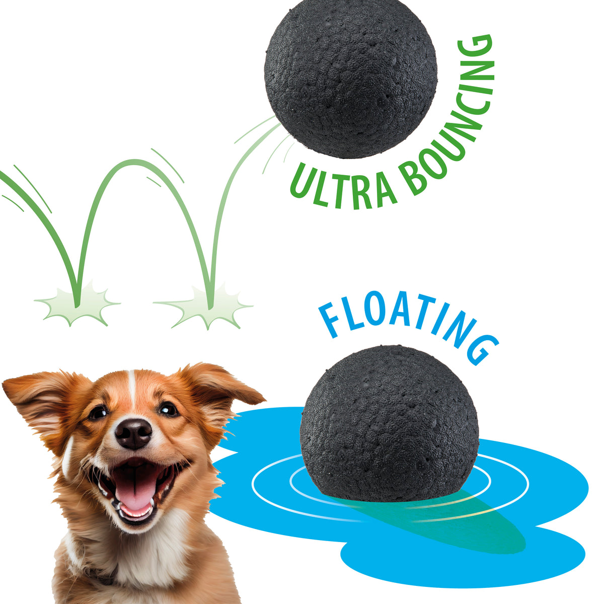CHEWA BOING BALL Ferplast | Ferplast España
